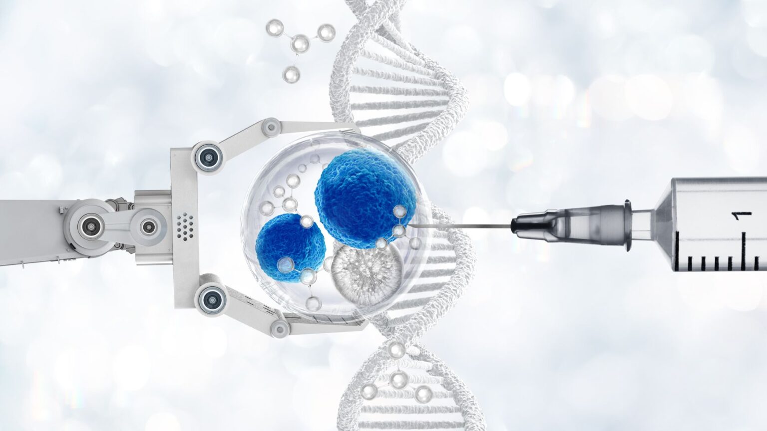 Stem Cell Therapy: The Future of Regenerative Medicine - FRESH MEDIQ